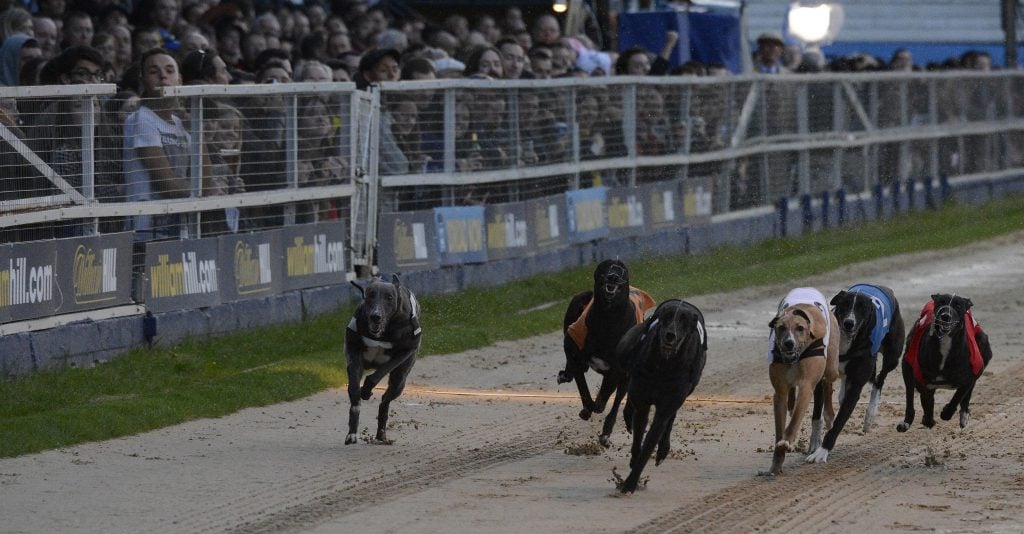 The most atmospheric greyhound racing tracks in the sport's history