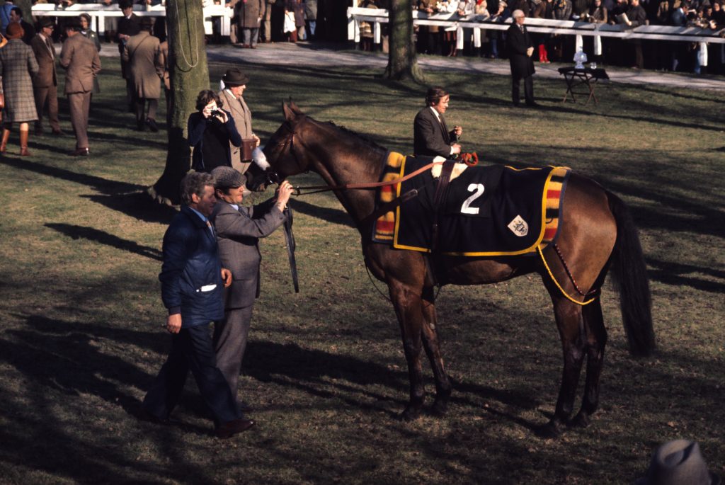 Where does Red Rum rank among the greatest horses of all time?