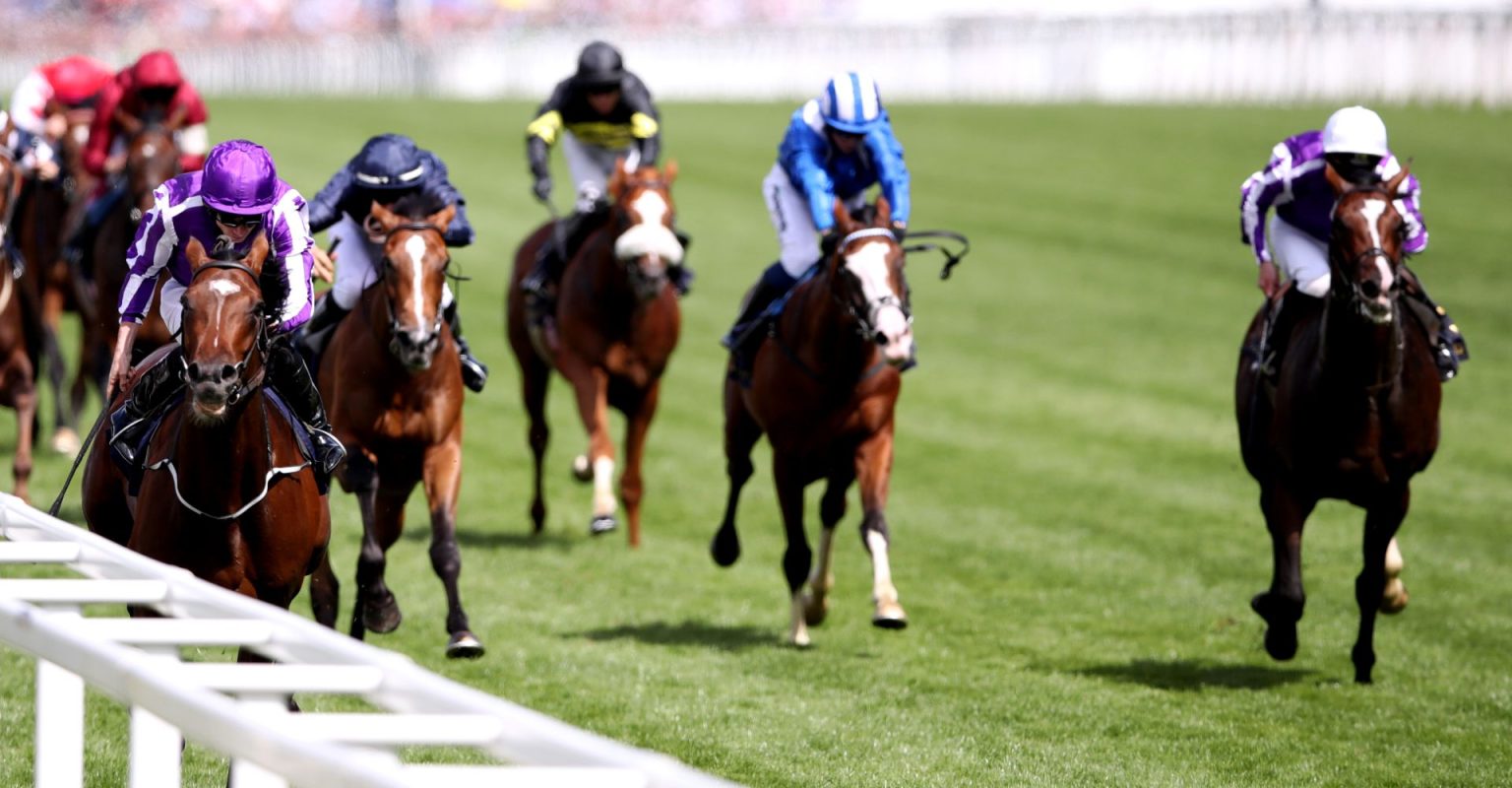 Trixie bet explained: the ultimate guide on this accumulator bet