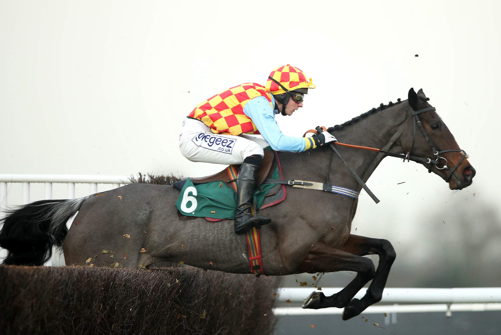 Jumps jockey to follow: in-form conditional Rex Dingle