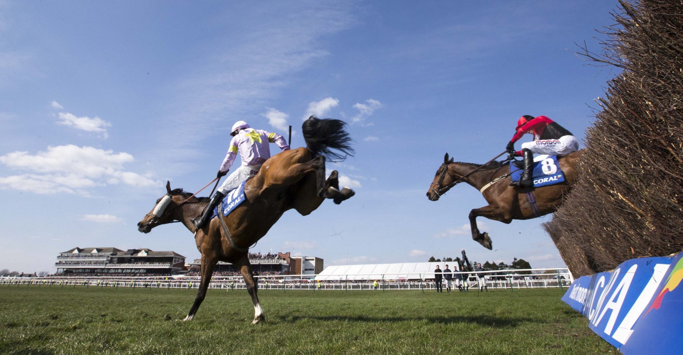 Nick Luck’s blog: No Risks in backing Richards’ runner in the National