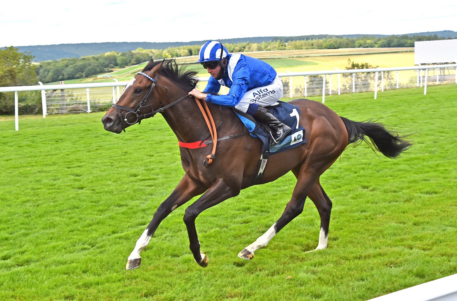 Trixie bet explained: the ultimate guide on this accumulator bet