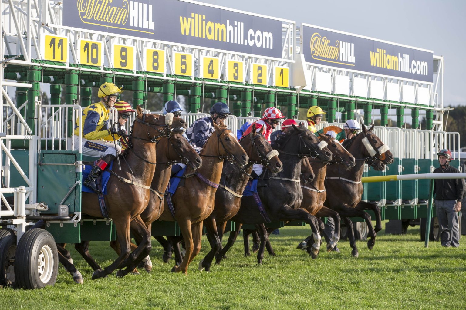 Each Way Extra Guide