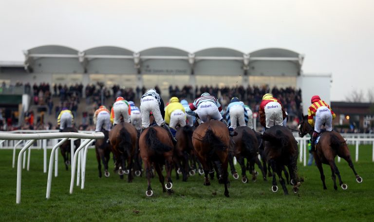 December Gold Cup Tips 2024: Runner-By-Runner Guide