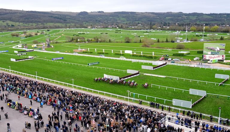 Plate Handicap Chase Weights For 2025 Cheltenham Festival