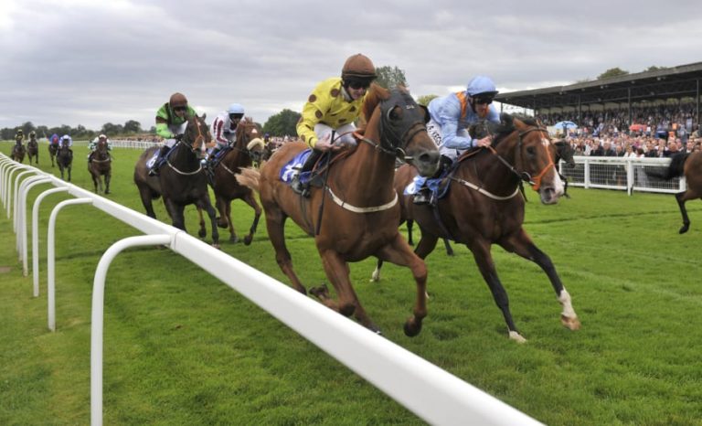 Who Are The Most Expensive Horse Racing Stallions In 2025?