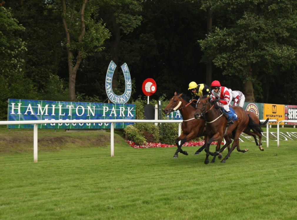 Hamilton Park Racecourse - William Hill News