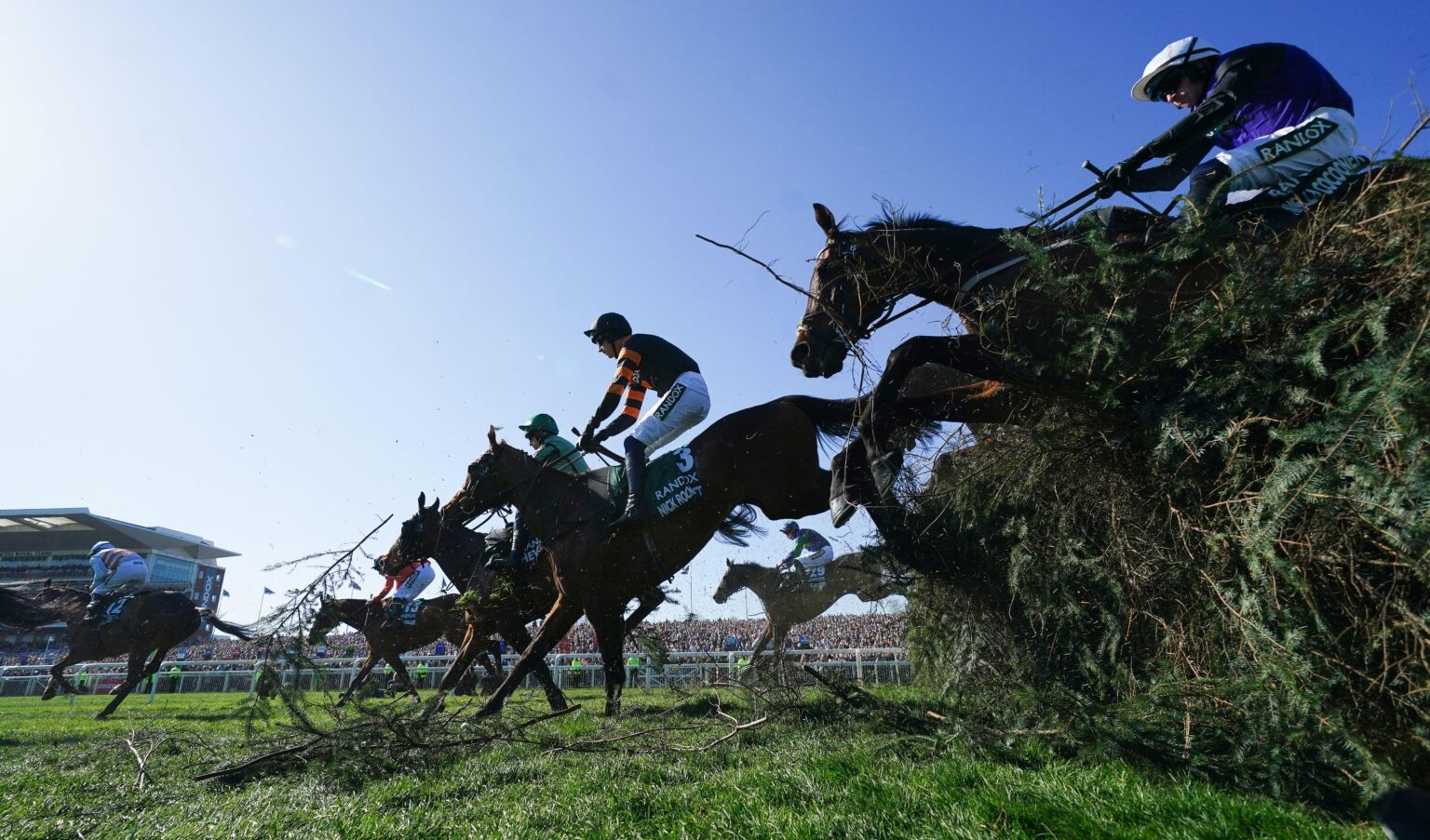 Horses To Follow Over Grand National Fences | William Hill News