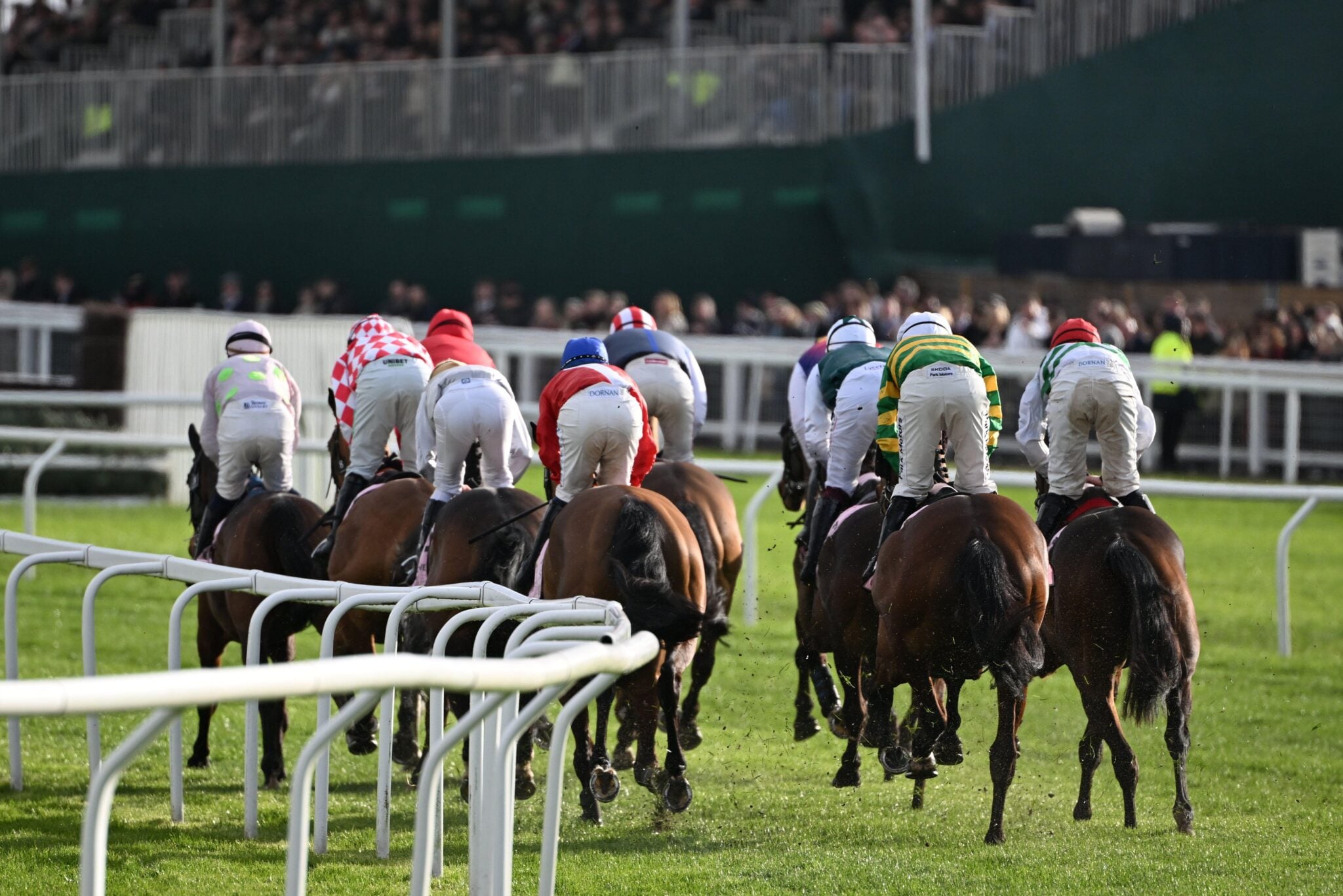 Grand National 2026 Runner By Runner Guide | William Hill News