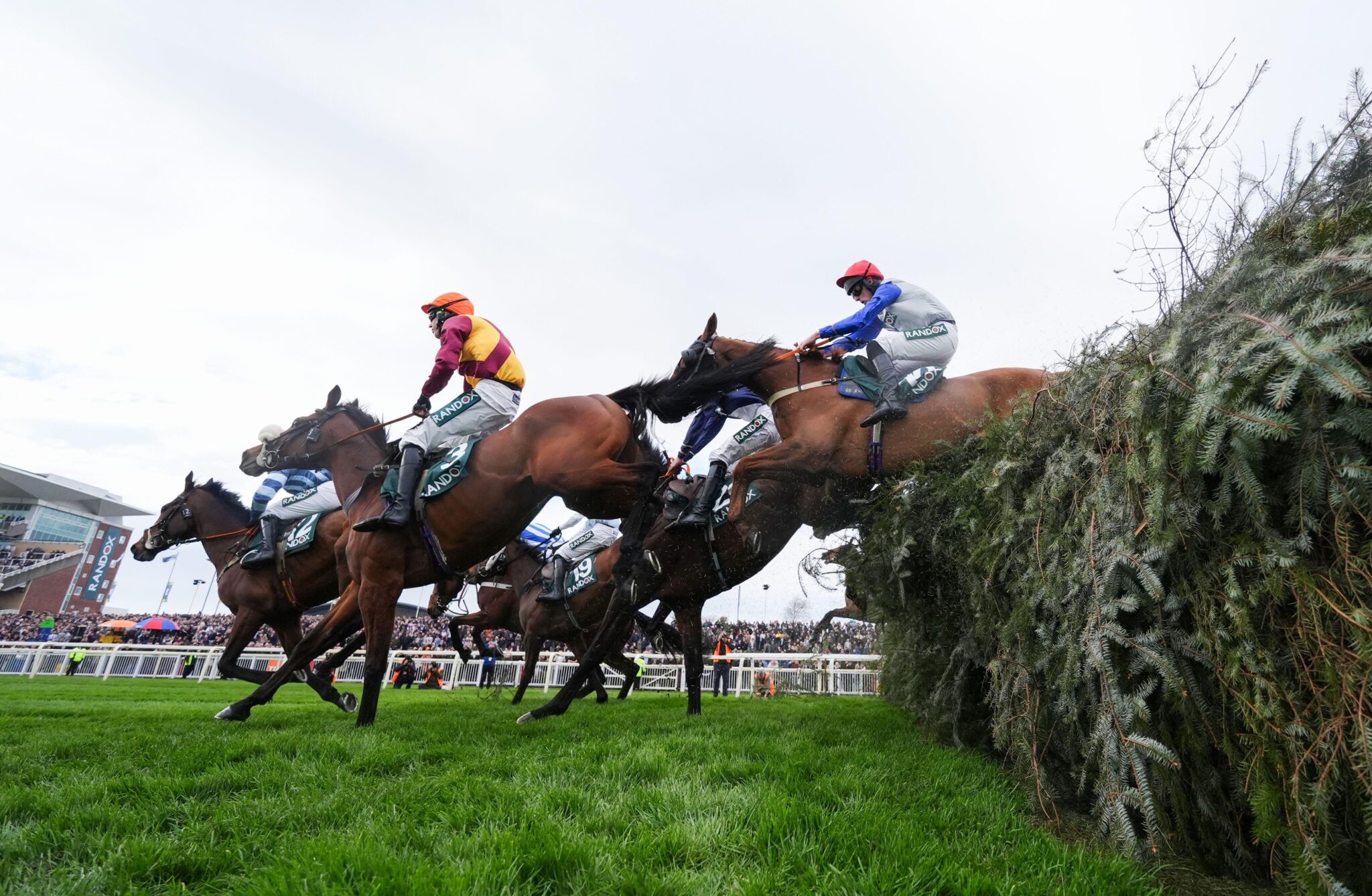Stellar Story 2026 Grand National Odds | William Hill News
