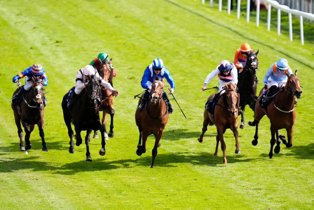 Chester May Festival Day 2 Tips & Predictions | William Hill News