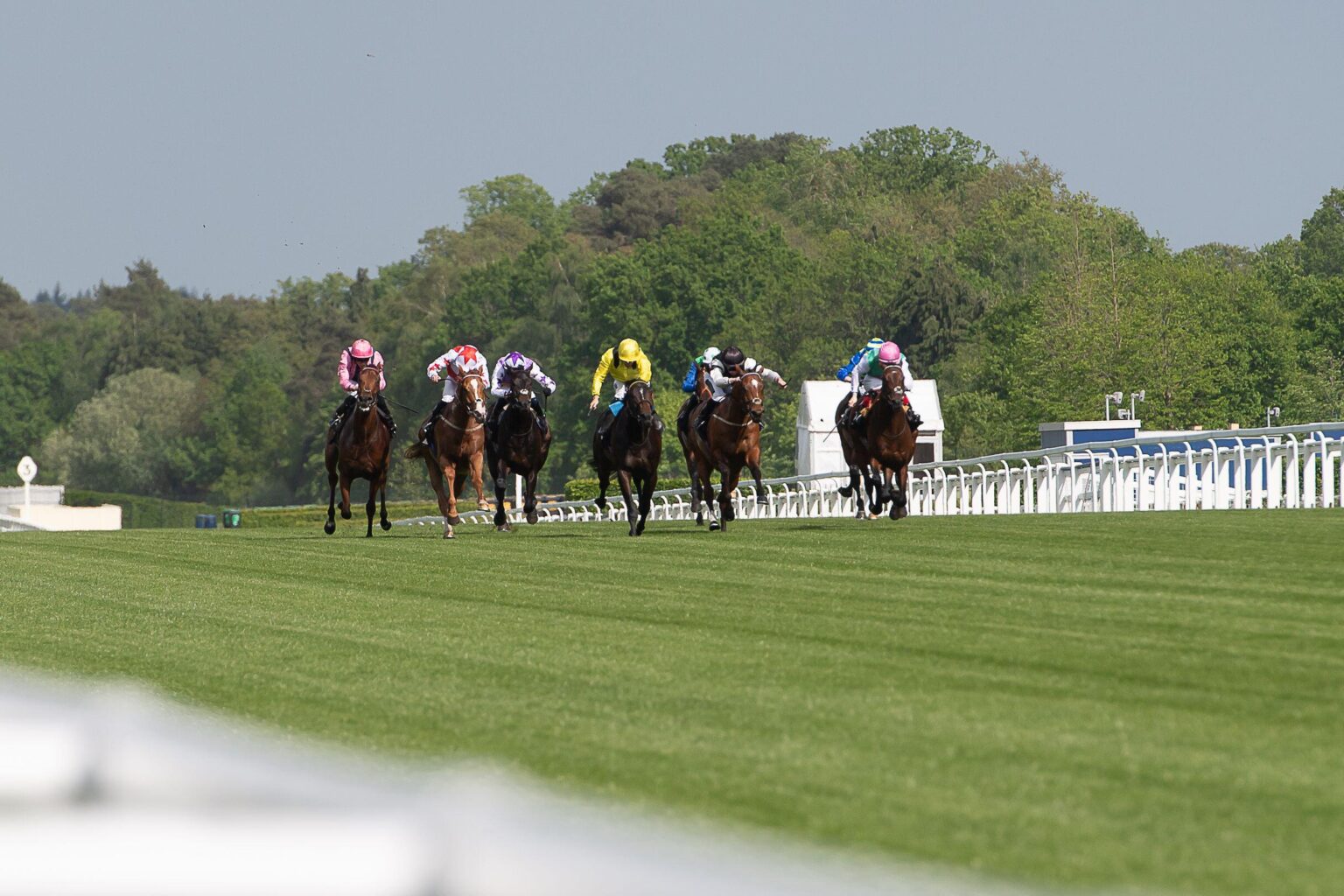 Wokingham Stakes Trends & Best Bets For 2026 | William Hill