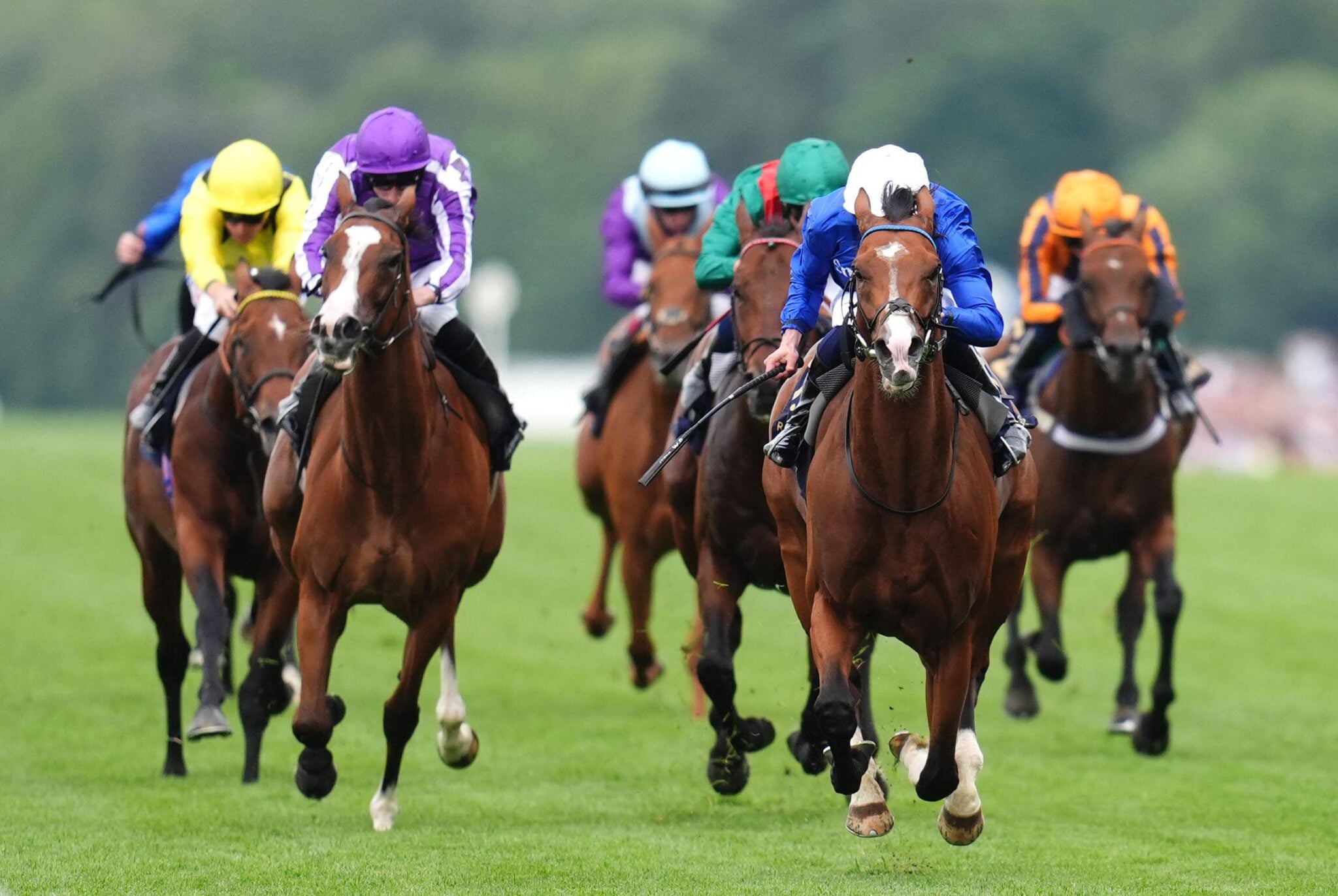 NAP of the Day: Friday at Royal Ascot 2026